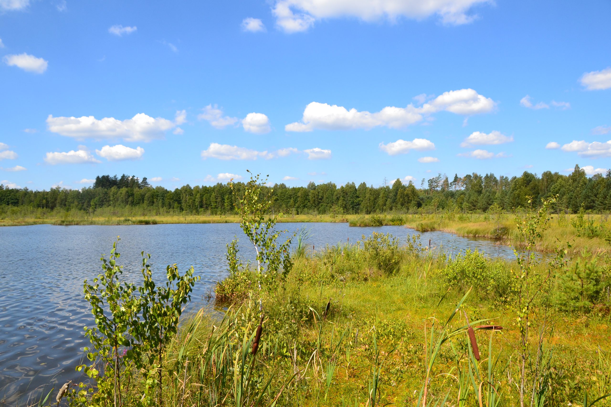 Bakanauskų ežerėlis - Pažink Dzūkiją