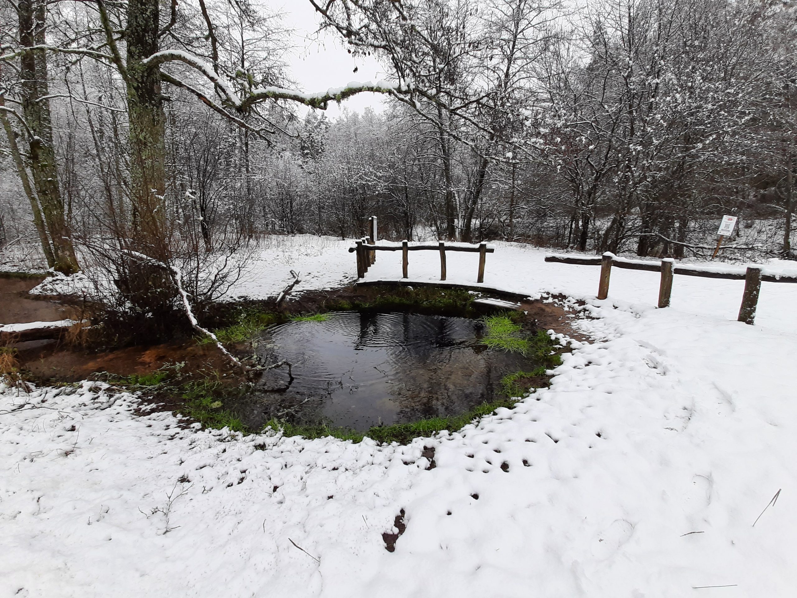 Šaltinis „Ūlos akis“ - Pažink Dzūkiją