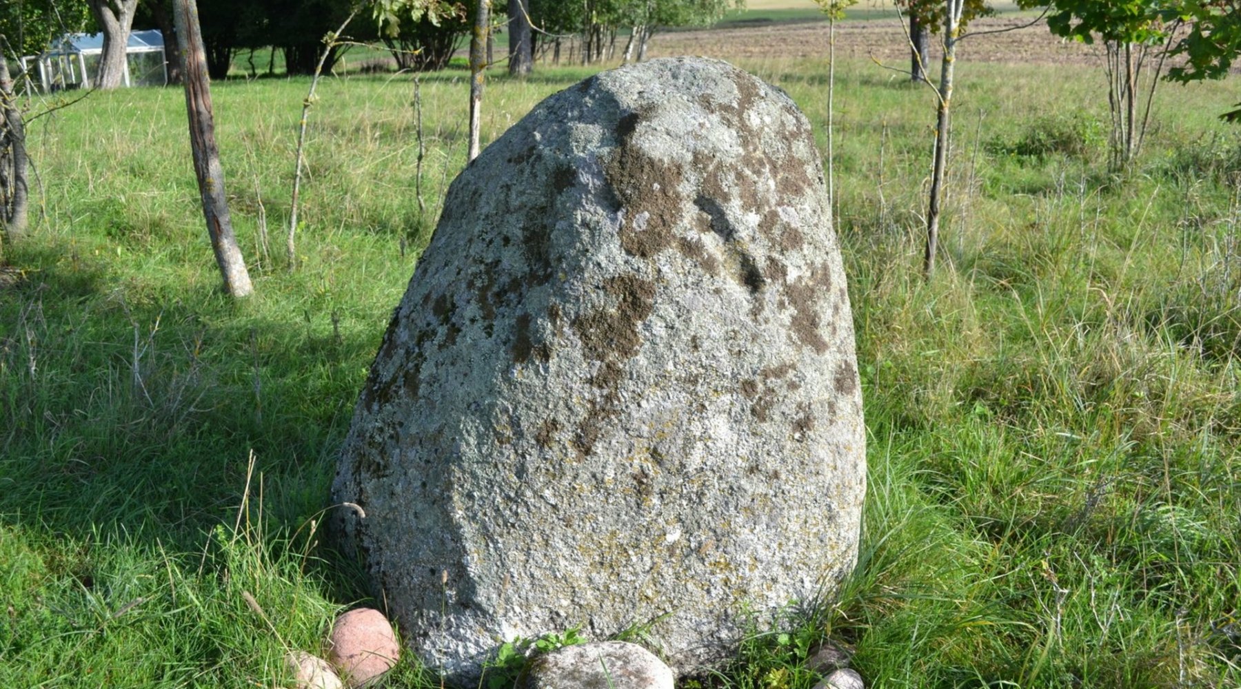 Silgionių akmuo su „pėda“ - Pažink Dzūkiją